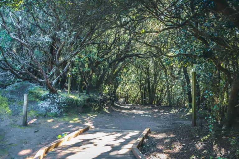 Anaga Rural Park: A Travel Guide » TENERIFE-IS.COM